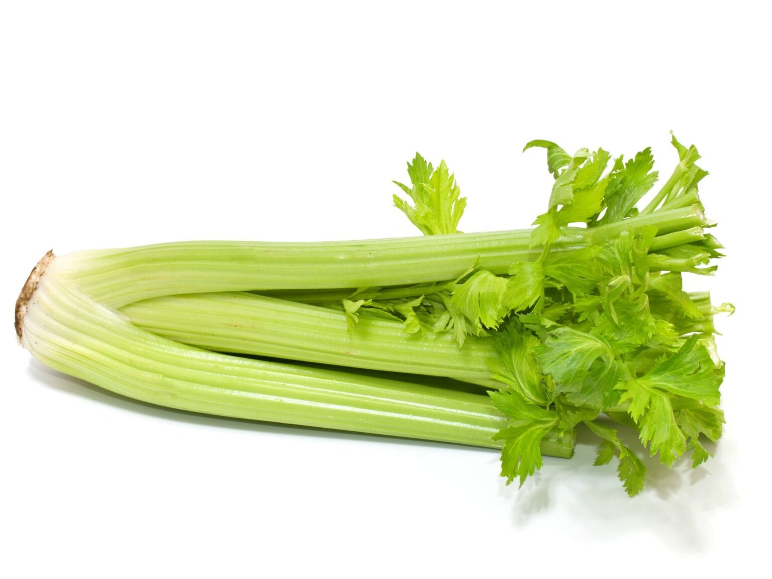 Staudensellerie zubereiten - lecker & kreativ - Mehr Genuss